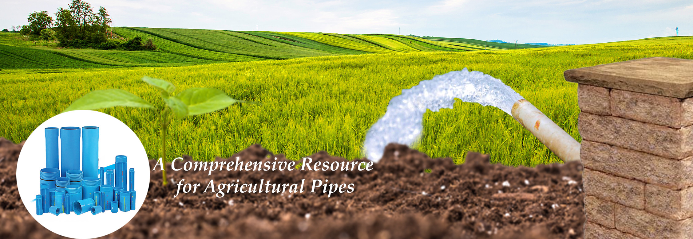 Client Review Contact